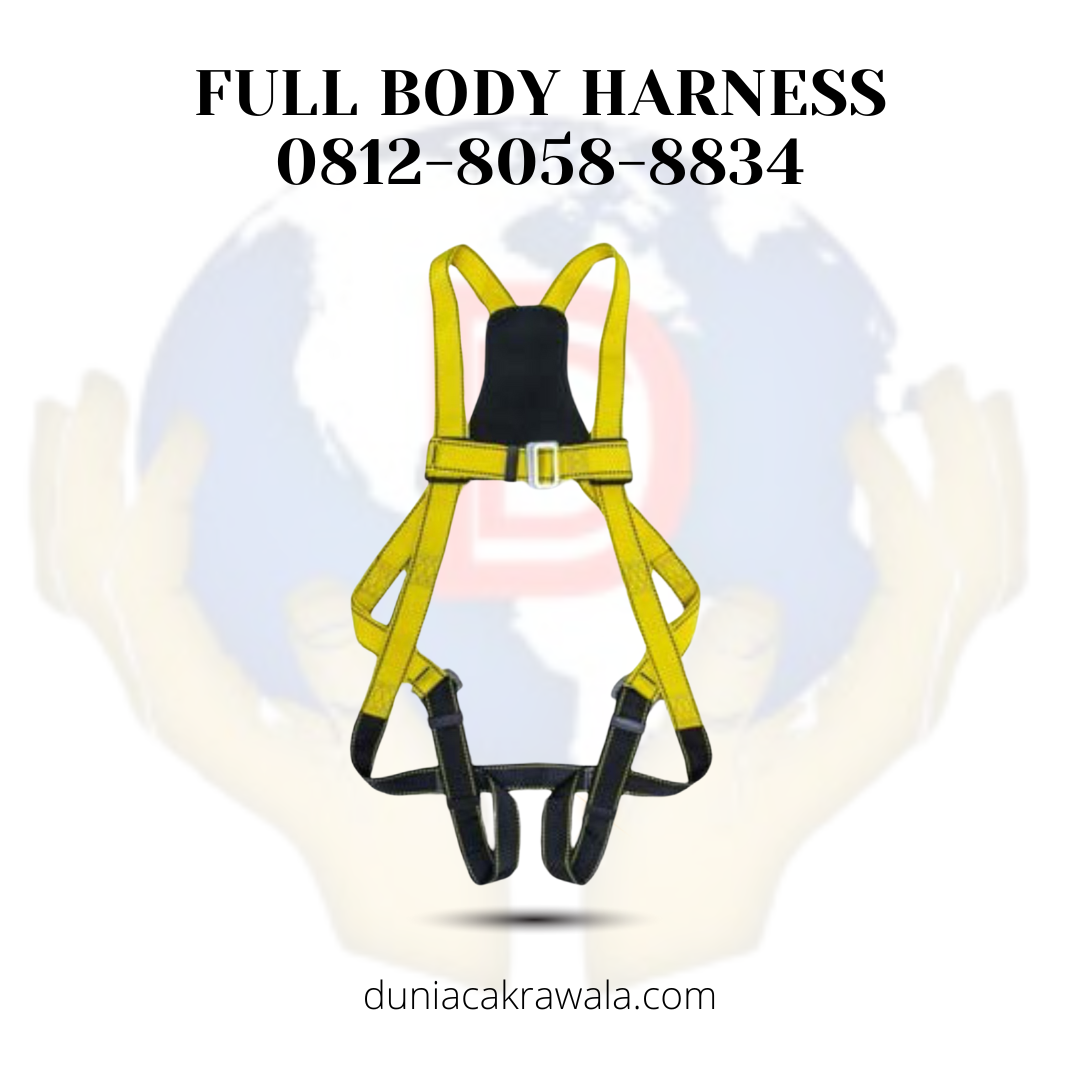 Full Body Harness Honeywell - PT DUNIA CAKRAWALA